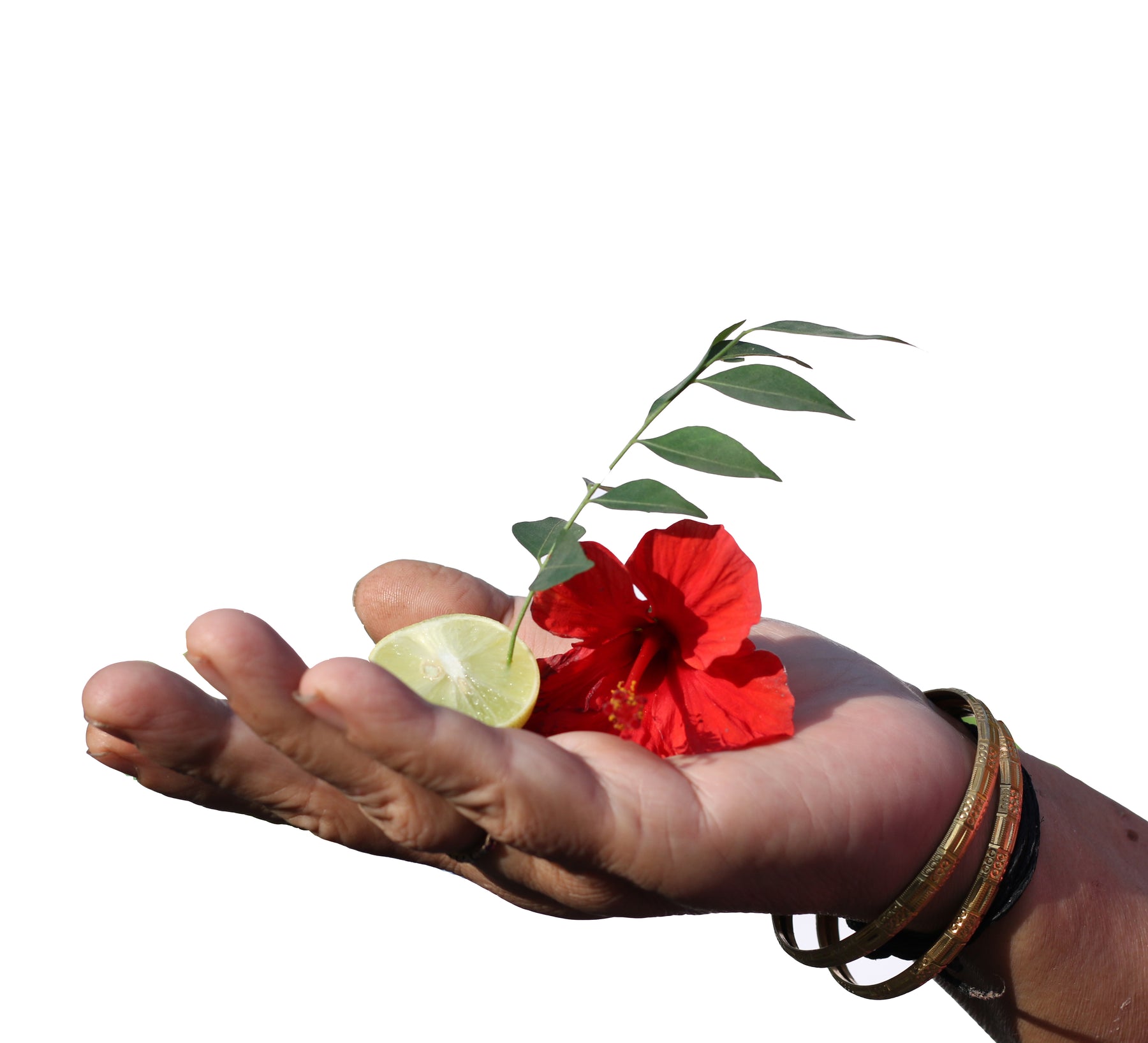 Phulo Phalo - Sharing Food, Culture and Love